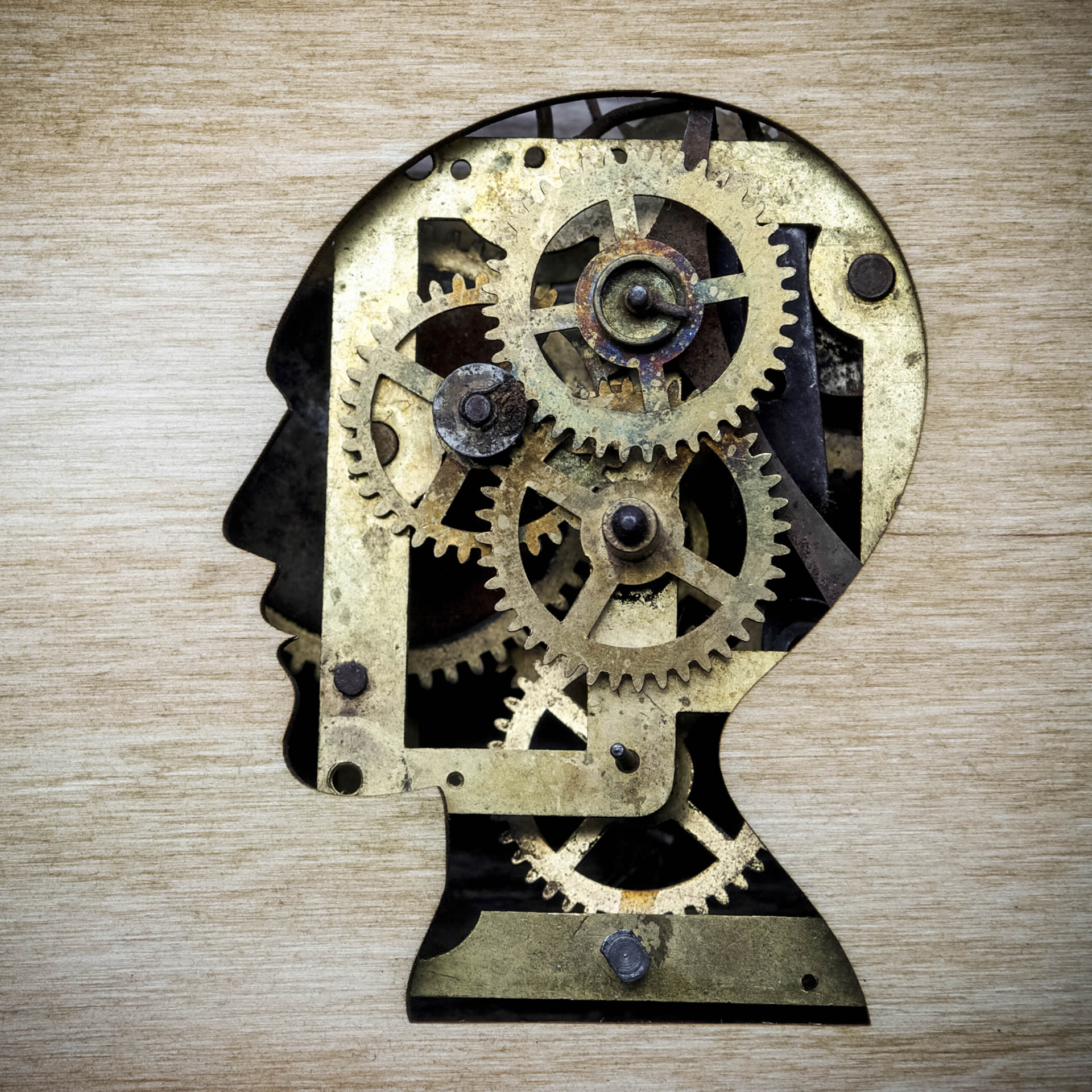 Le fonctionnement de l'être humain | different.land